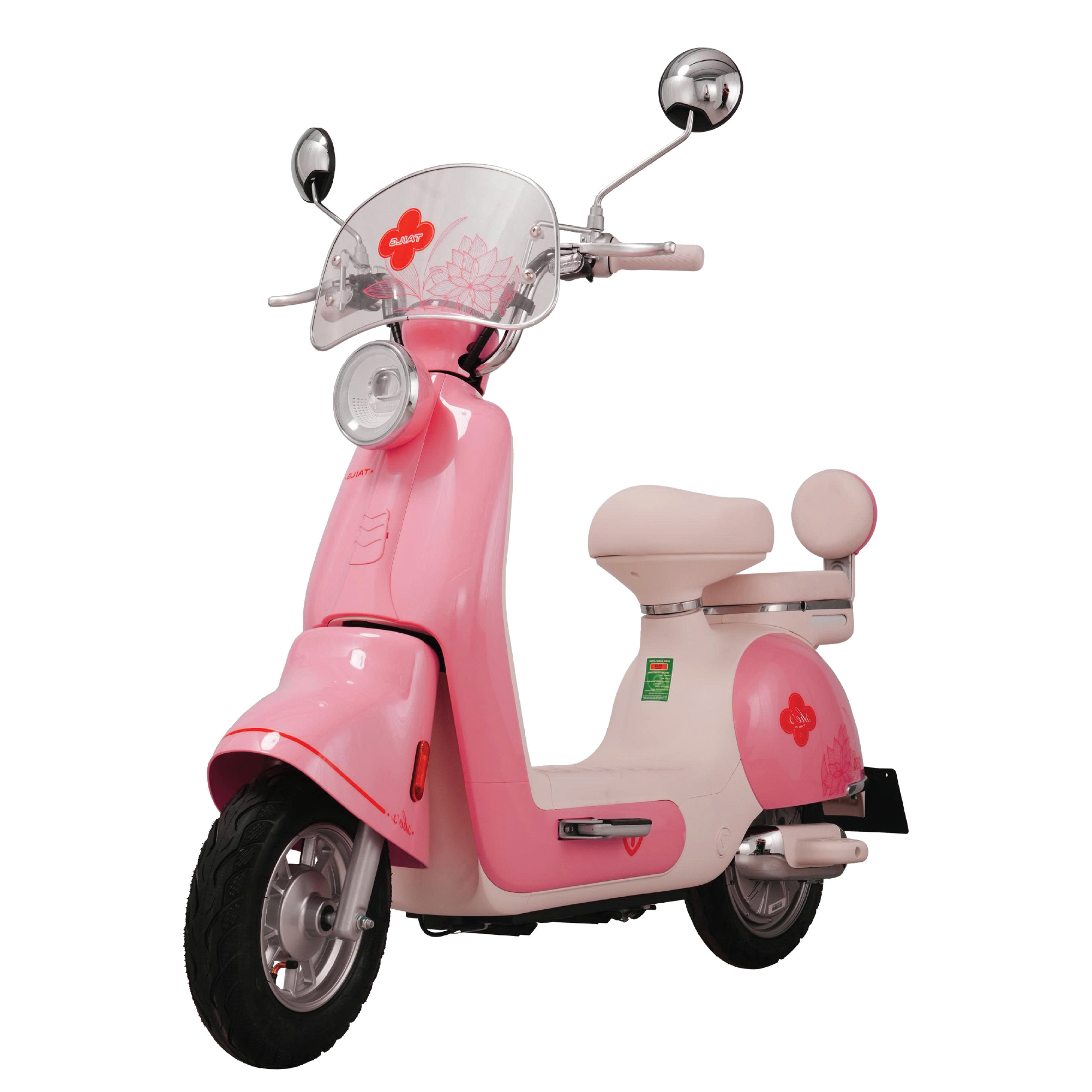 Xe đạp điện TAILG JS50